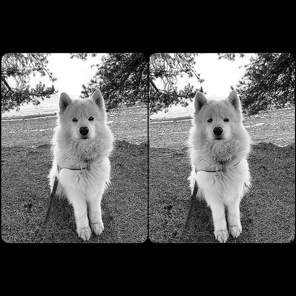 Lockdown in stereo – 3D photography - Black+White Photography